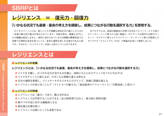 【LDcube】SBRP-「いかなる状況でも最善・最良の考え方を模索し、成果につながる行動を選択する…| 無料ダウンロード | 『日本の人事部』